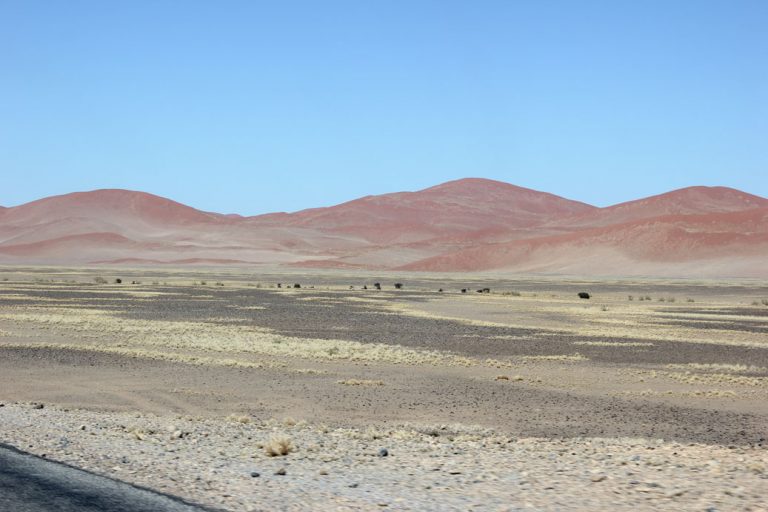 Que ver en el desierto del Namib en Namibia